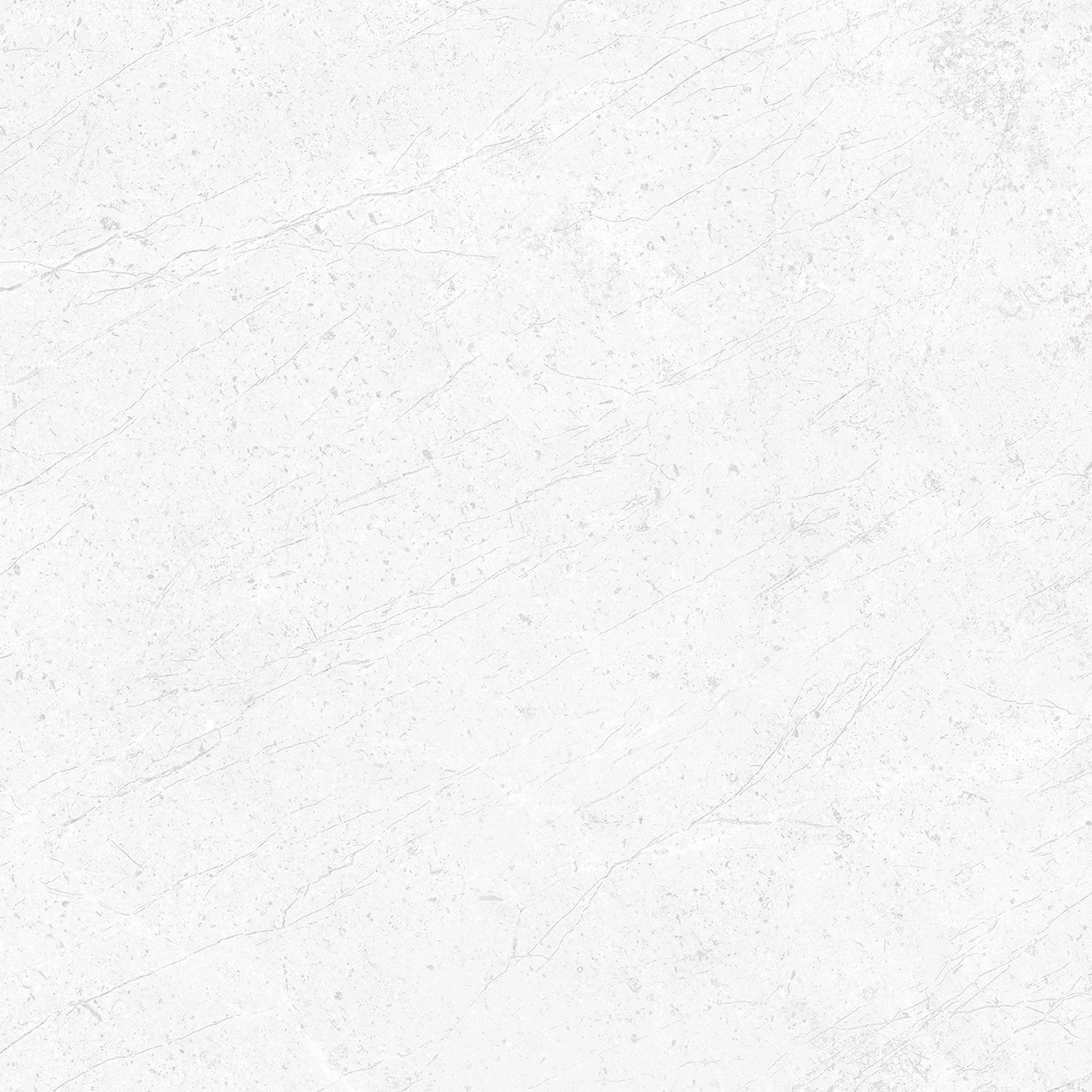 Floor Tiles: CT Alpine White